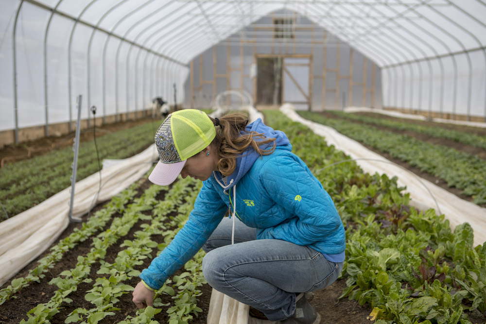 Footprint Farm Goes Solar to Reduce Their Carbon Footprint. - SunCommon